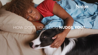 Nudges Health and Wellness Chicken Jerky Dog Treats, 36 Oz - Walmart.com